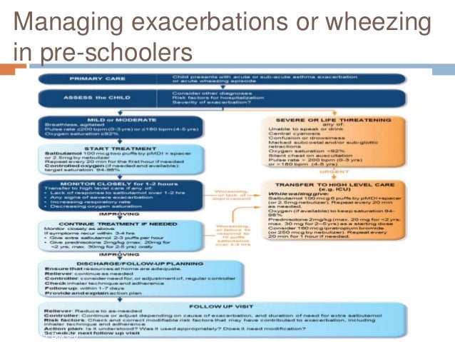 gina guidelines 2015 asthama