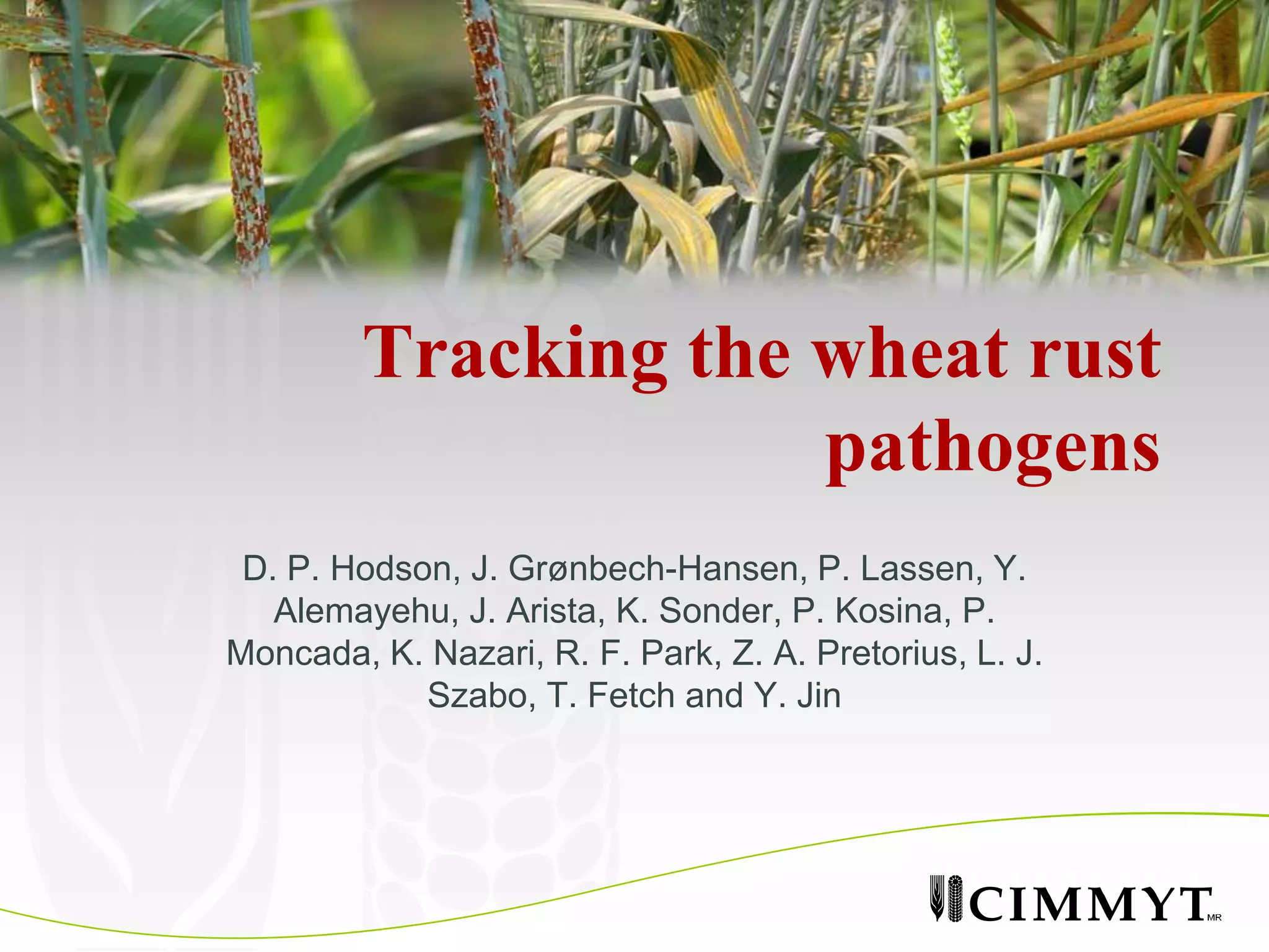 Tracking the wheat rust pathogens | PPTX