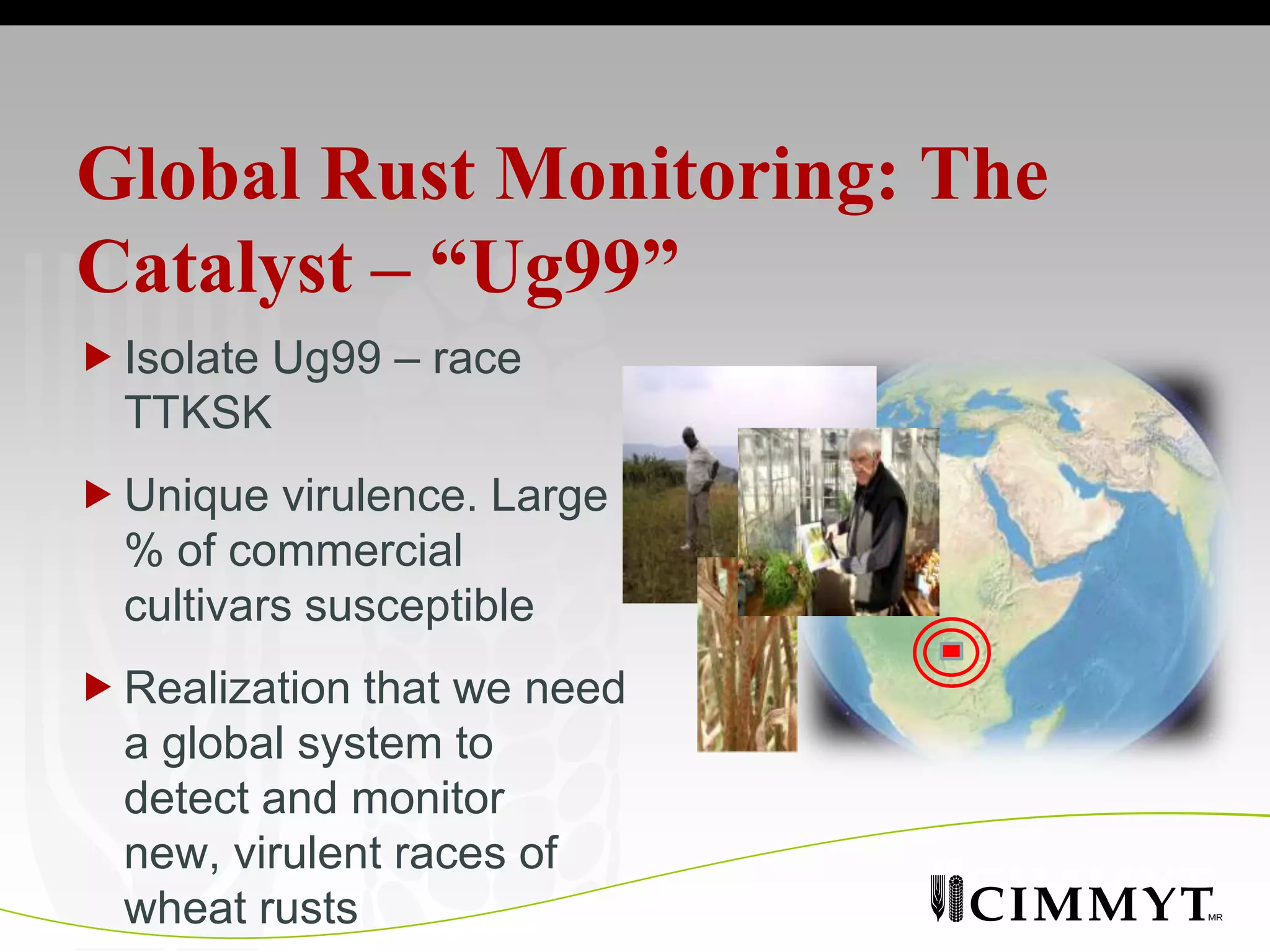 Tracking the wheat rust pathogens | PPTX