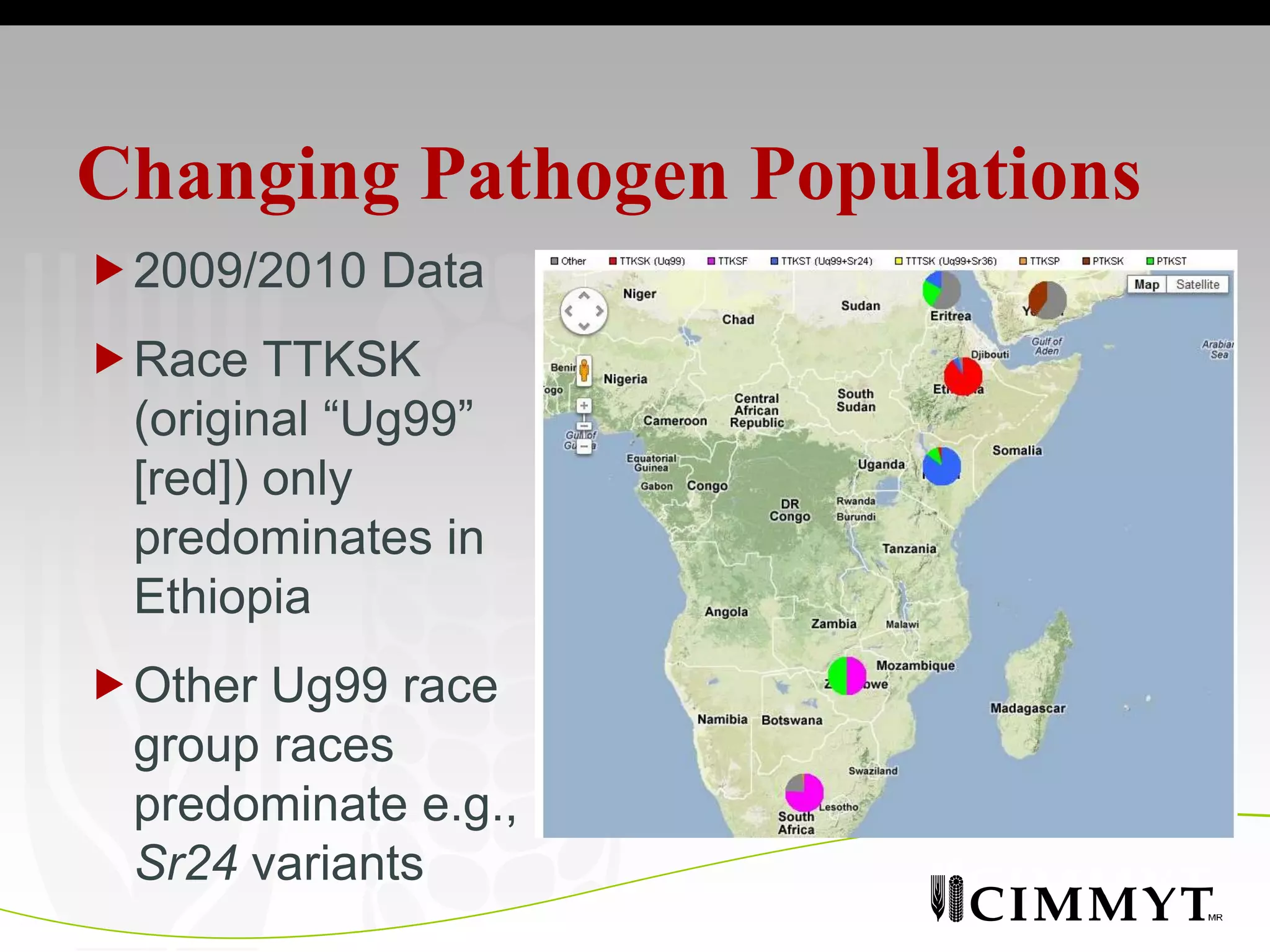 Tracking the wheat rust pathogens | PPTX