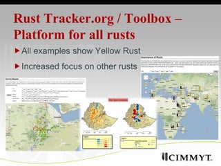 Tracking the wheat rust pathogens | PPTX