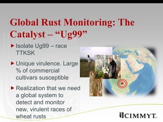 Tracking the wheat rust pathogens | PPTX