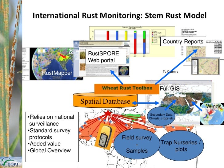 Hodson putting ug99 on the mapv2