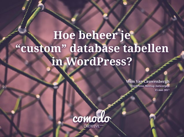 Hoe beheer je custom database tabellen in WordPress | PPT