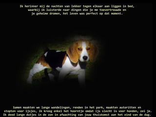 Hoe kon je!!!!! | PPS | Dogs | Pets