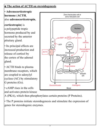 Endocrine glands and Adrenal (suprarenal) gland | PDF