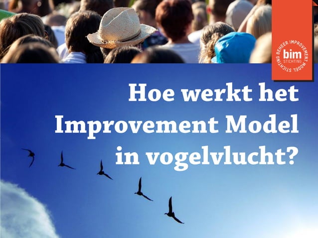 Hoe werkt het improvement model in vogelvlucht? | PDF