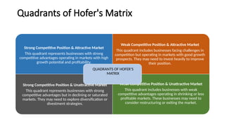 HOFER’S MATRIX MBA General PPT for strategic management | PPTX