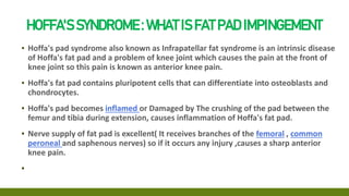 hoffas fat pad syndrome.pptx