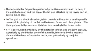 hoffas fat pad syndrome.pptx