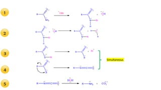 Hofmann rearrangement | PPTX