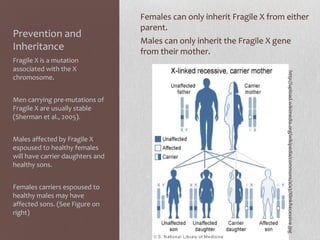 Ho fragile x_syndrome | PPT | Brain and Nervous System Disorders ...