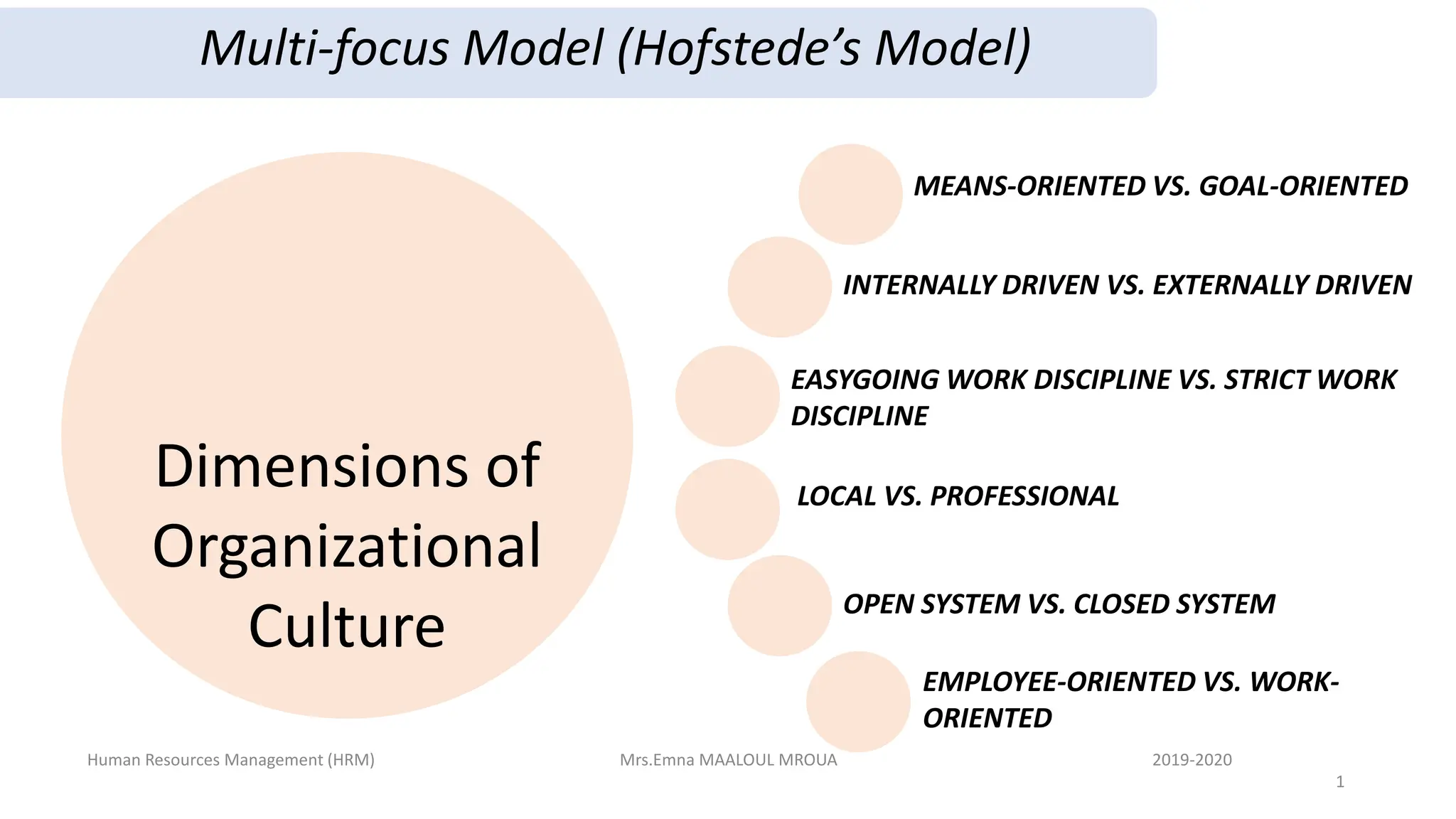 xxxHofstede's Model of Org. culture.pptx