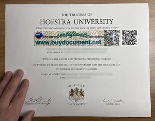 Hofstra university degree | PPT