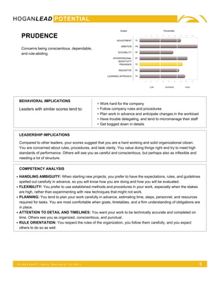 Hogan Personality Inventory (HPI) Report | PDF