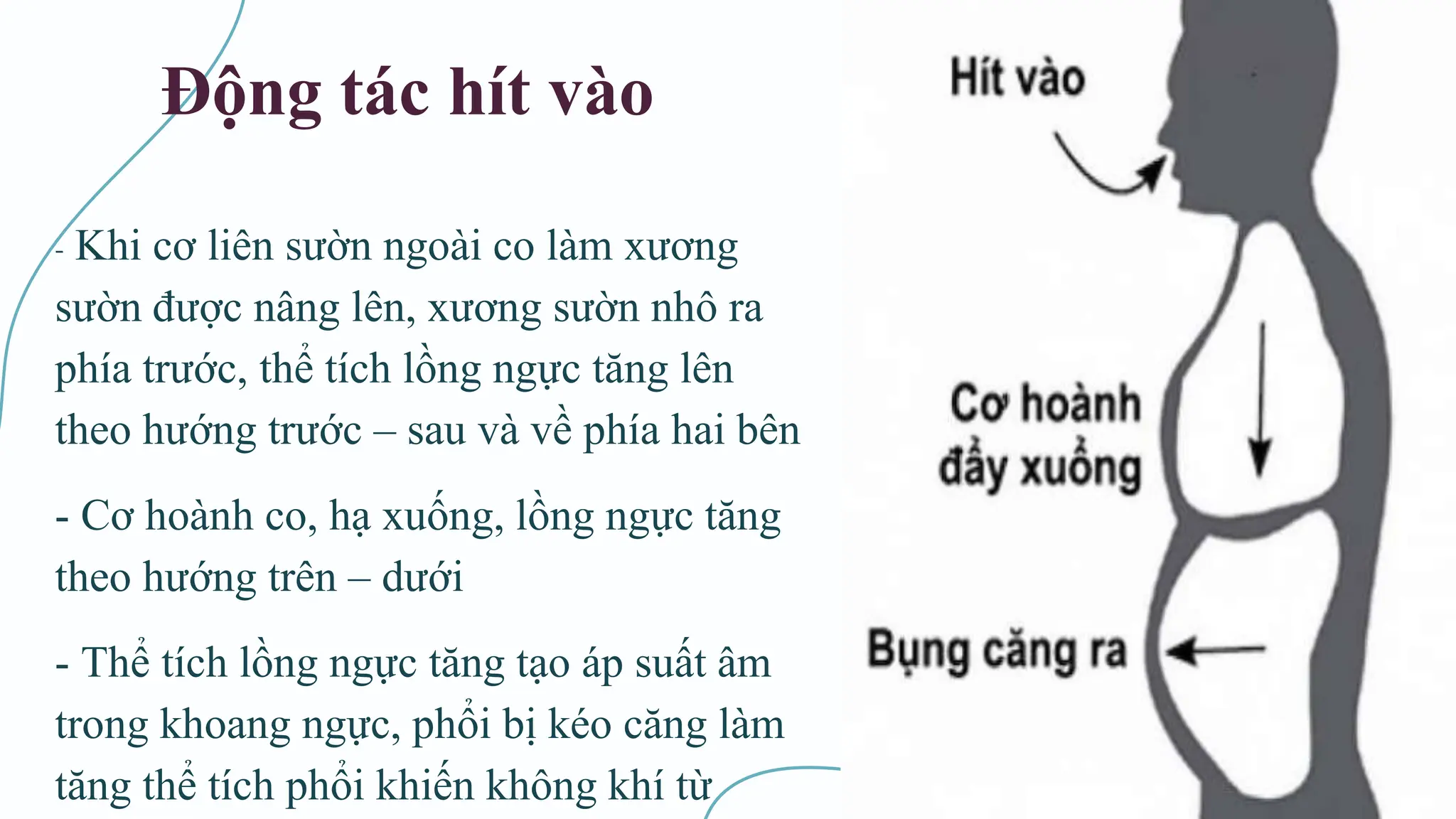 HE HO HAP CO THE CON NGUOI SINH LY .pptx