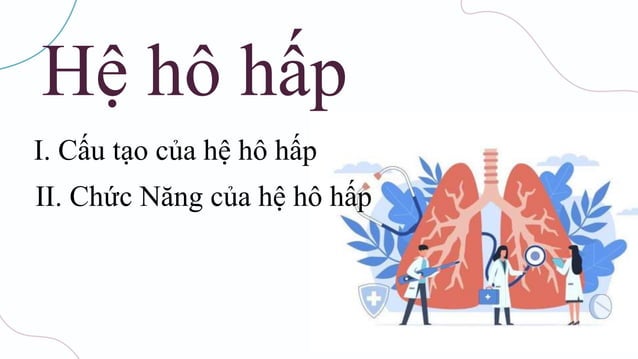 HE HO HAP CO THE CON NGUOI SINH LY .pptx