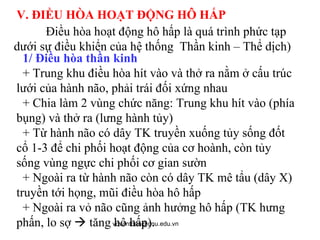 Ho hap p4 | PPT