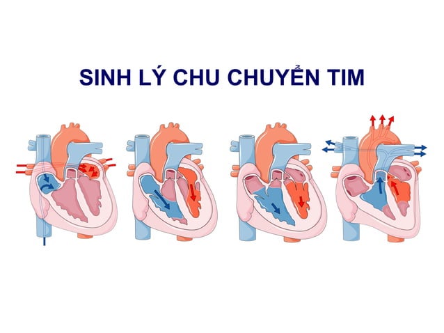 Hoi chung suy tim 2012 | PDF
