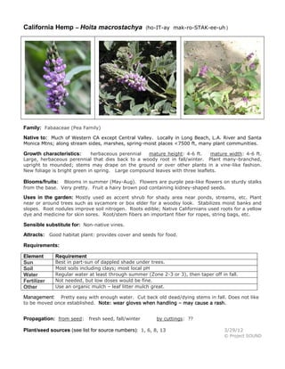 Hoita macrostachya | PDF