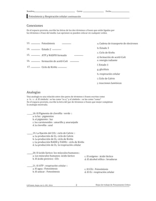 Hoja de trabajo de habilidades: fotosíntesis y respiración celular | PDF