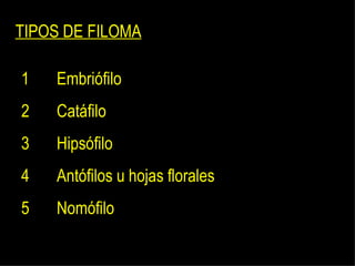 Hoja O Filoma | PPT