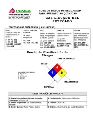 Hoja seguridadgaslp v2007 | PDF