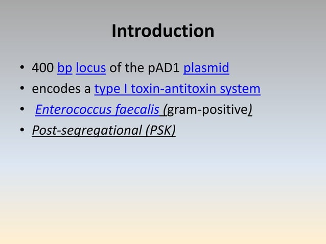 RNase role in Plasmid maintenance (Hok sok - par systems) | PPT