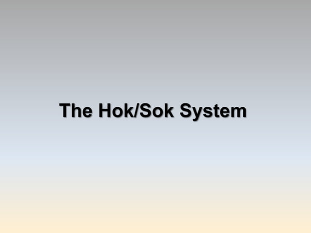 RNase role in Plasmid maintenance (Hok sok - par systems) | PPT