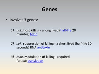RNase role in Plasmid maintenance (Hok sok - par systems) | PPTX