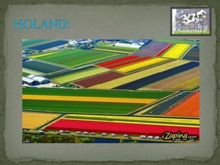 Holand | PPT