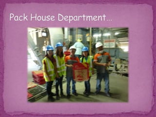 Holcim philippines la union plant | PPTX