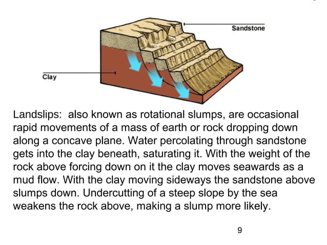 Holderness coastal erosion case study | PPT | Geology | Science