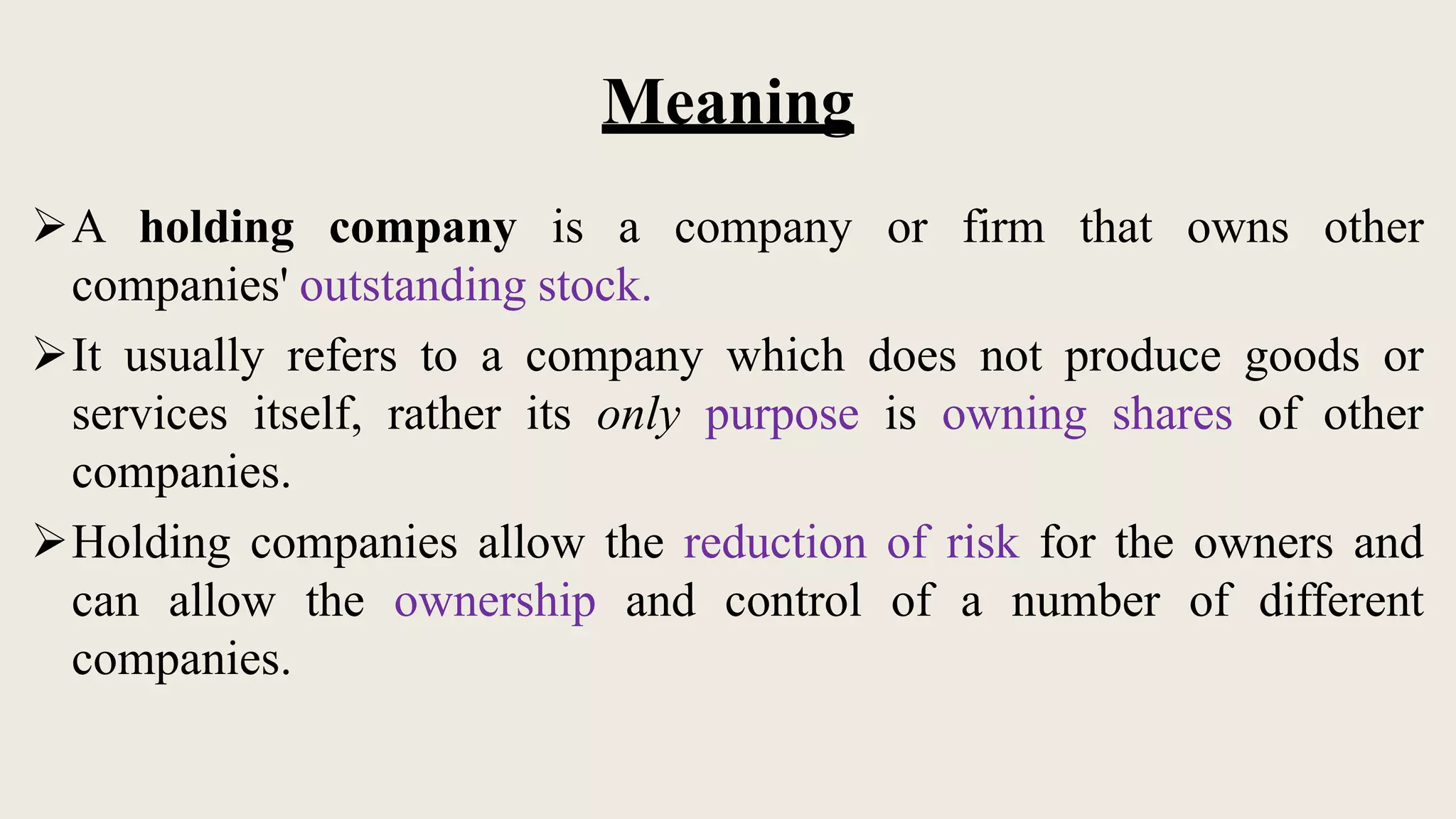 HOLDING COMPANY.pptx