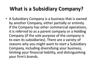 Holding Company Accounts.pptx