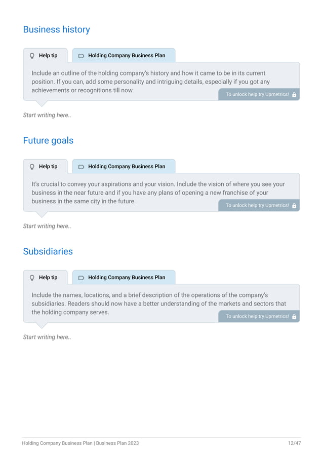 holding company business plan example.pdf