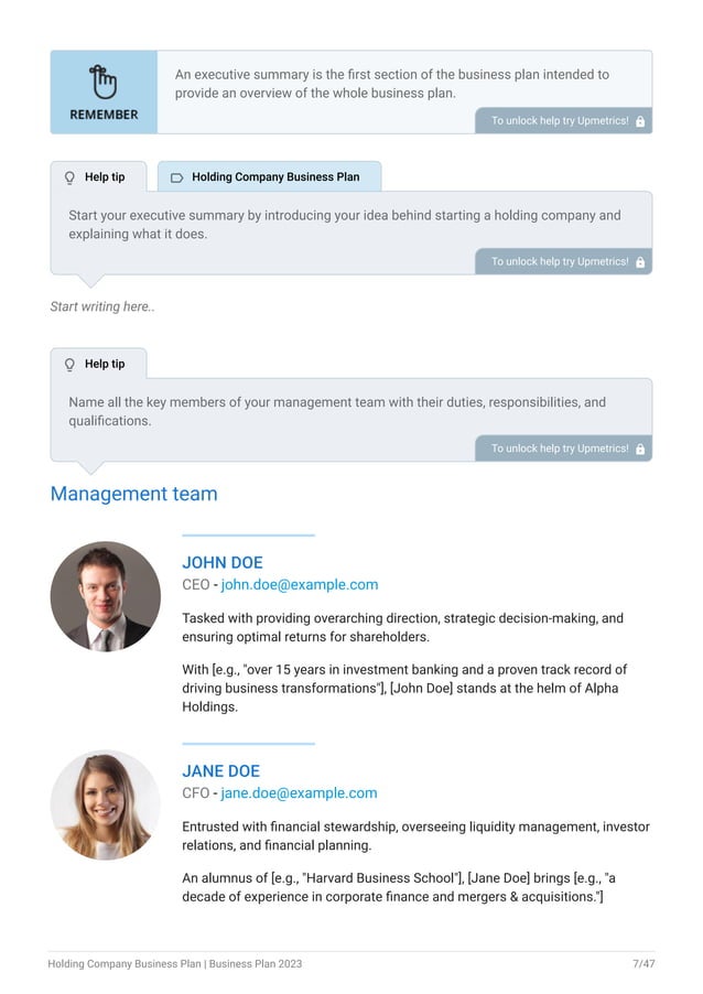 holding company business plan example.pdf