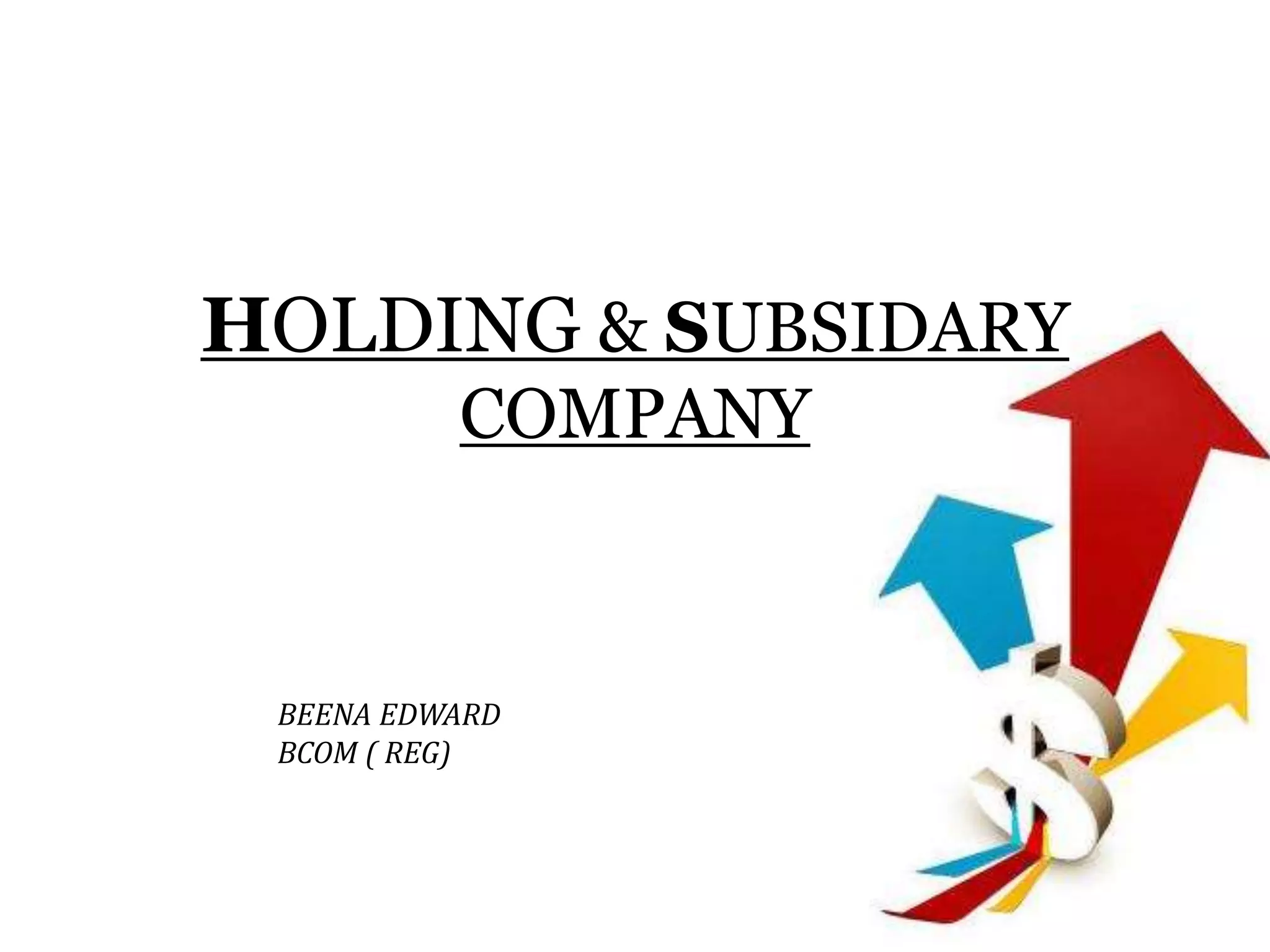 Holding & subsidary Company | PPTX