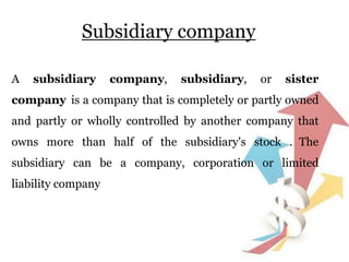 Holding & subsidary Company | PPTX