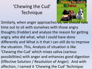 Hold on with anger!! Not just tips, a new technique called 'Chewing the ...