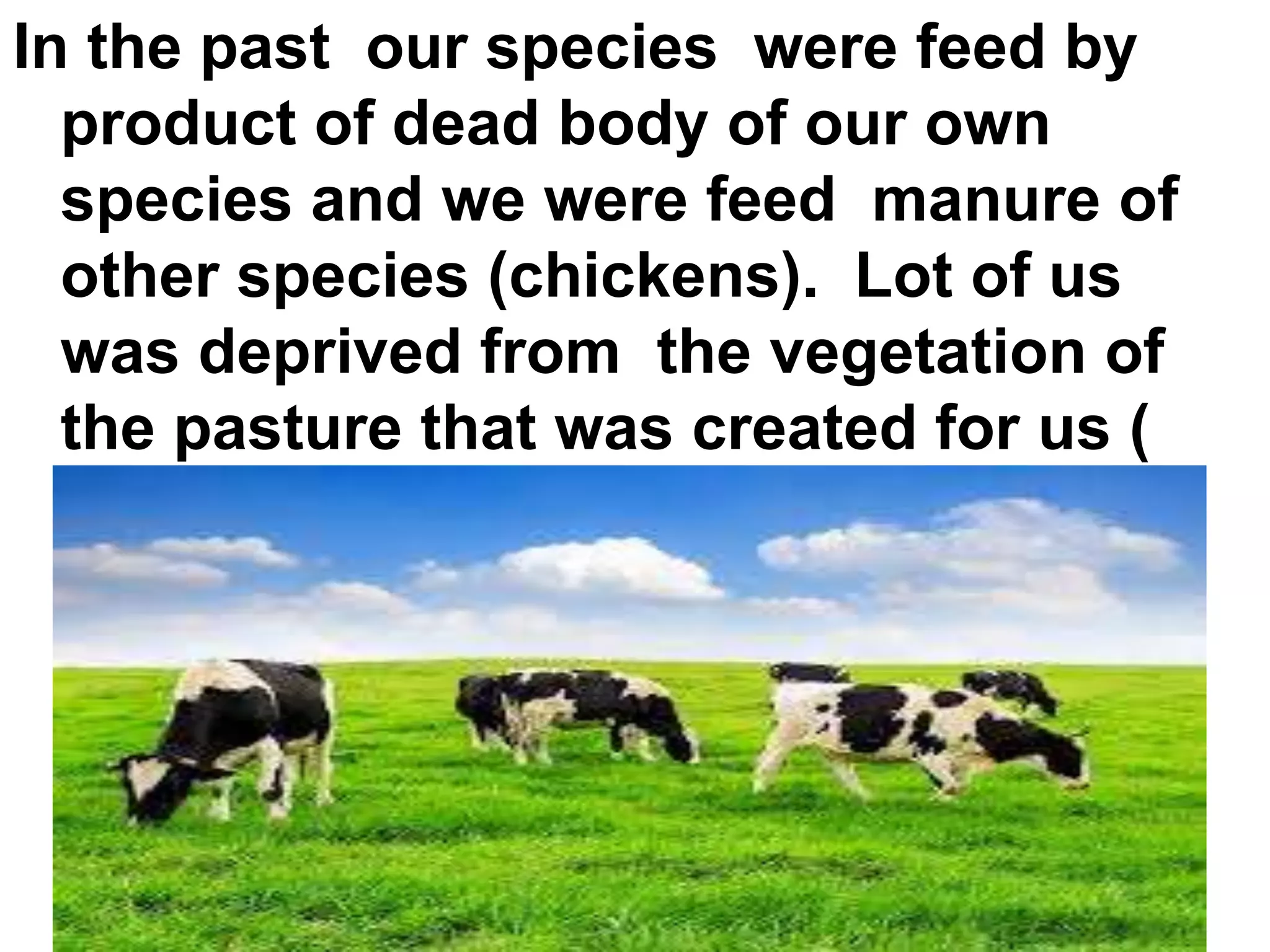 the worries of the fistulated cows (cannulated cows). | PPTX ...