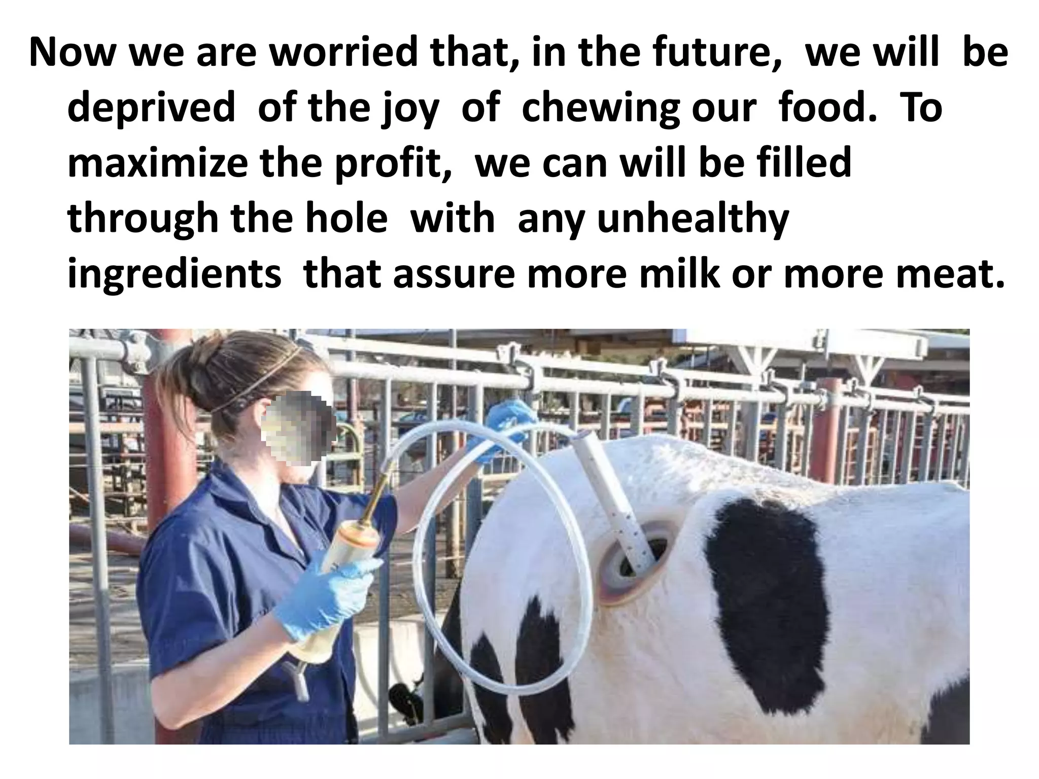 the worries of the fistulated cows (cannulated cows). | PPTX ...