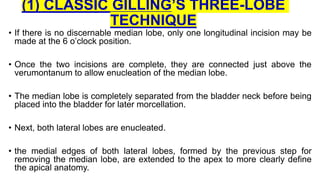 HoLEP: the gold standard for the surgical management of BPH in the 21st ...