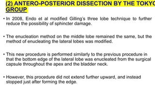 HoLEP: the gold standard for the surgical management of BPH in the 21st ...
