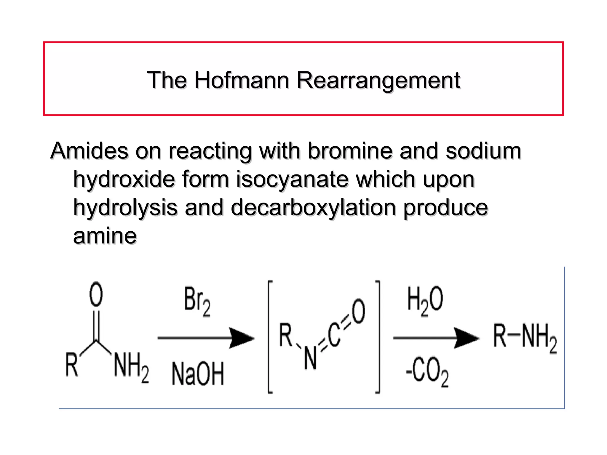 Holfmann | PPT