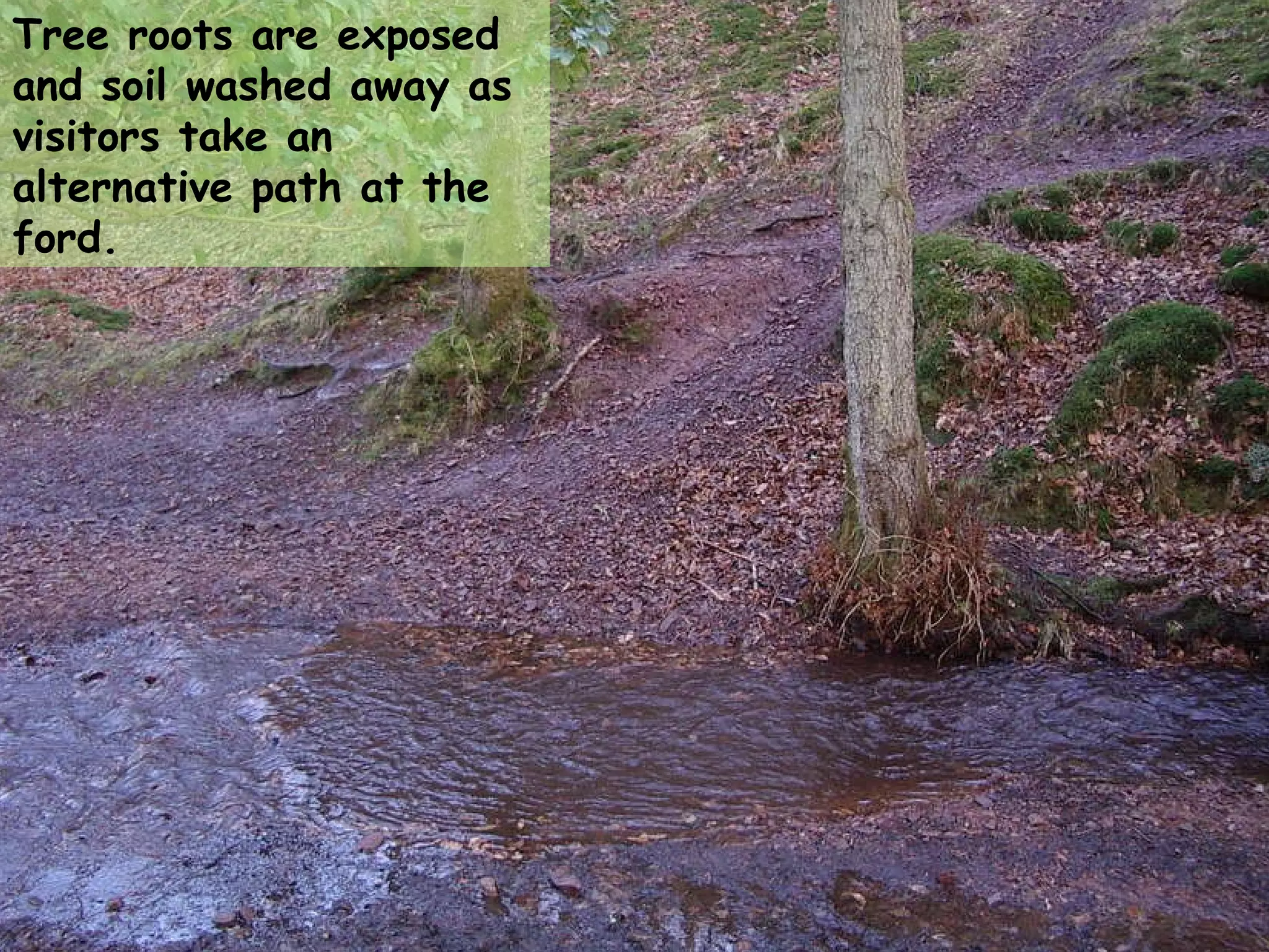 Holford combe (landscape) case study | PPT