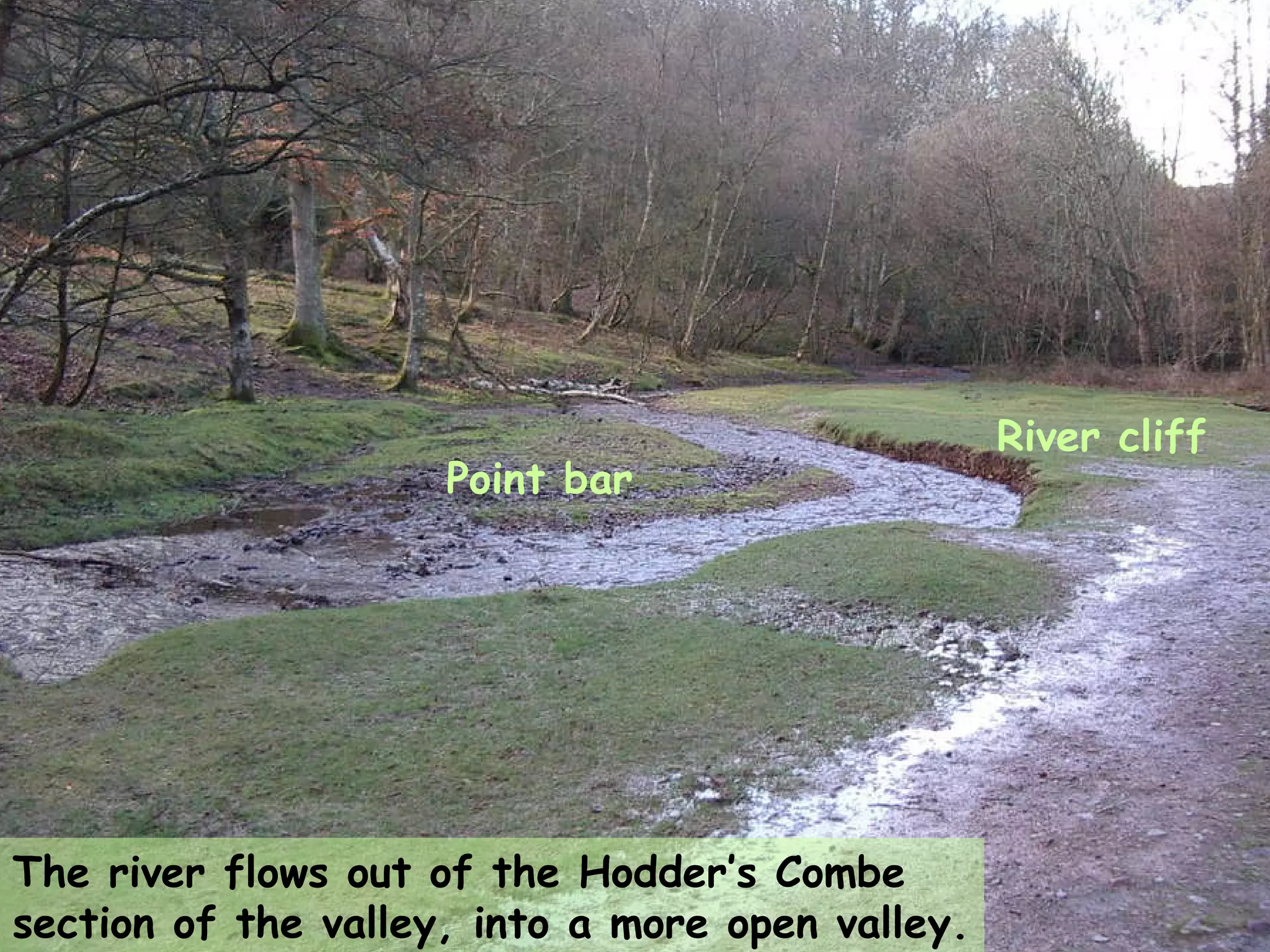 Holford combe (landscape) case study | PPT
