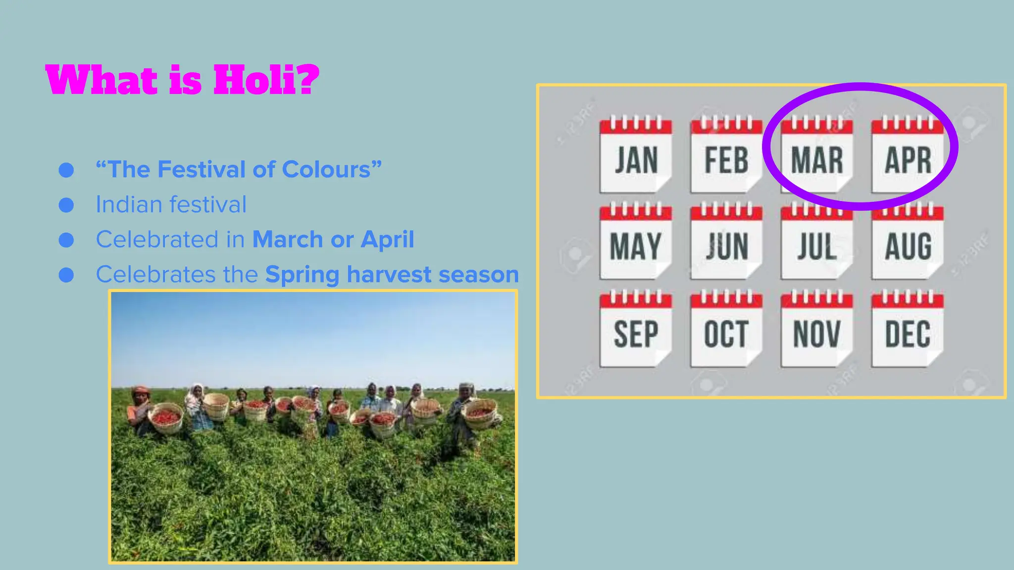 Holi: The Indian Festival of Colours- Grade 5 | PPTX