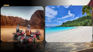 holiday past simple tense English tense past | PPTX