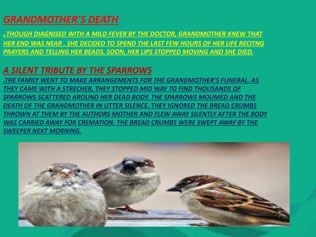 THE POTRAIT OF A LADY. FULL PPT .CLASS 11 ENGLISH CHAPTER | PPTX